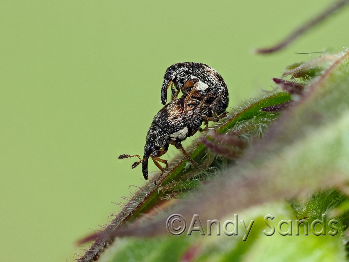 Latest Images - Andy Sands Photography